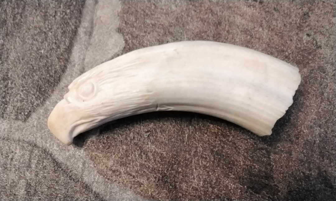 Hog Tooth Extra Large Carved Eagle Head Hand Carved in USA Lot 4 1/8 - Etsy