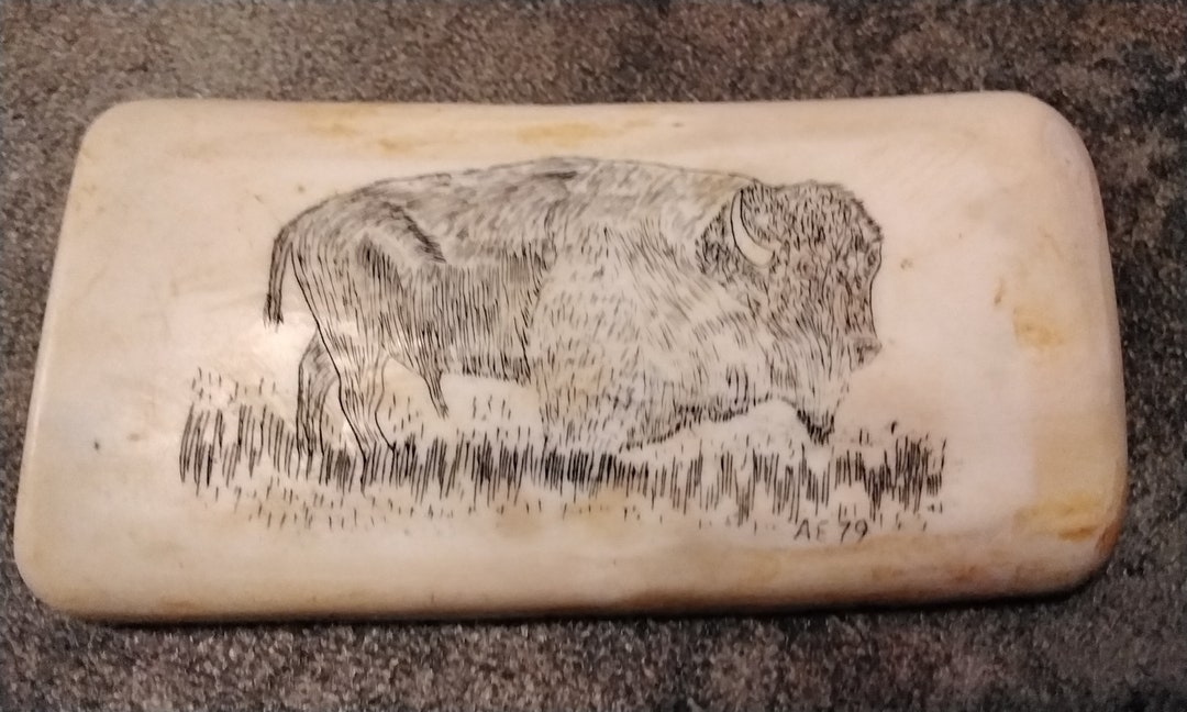 Bison Buffalo Leg Bone Scrimshaw Bison Buffalo Handmade in USA - Etsy