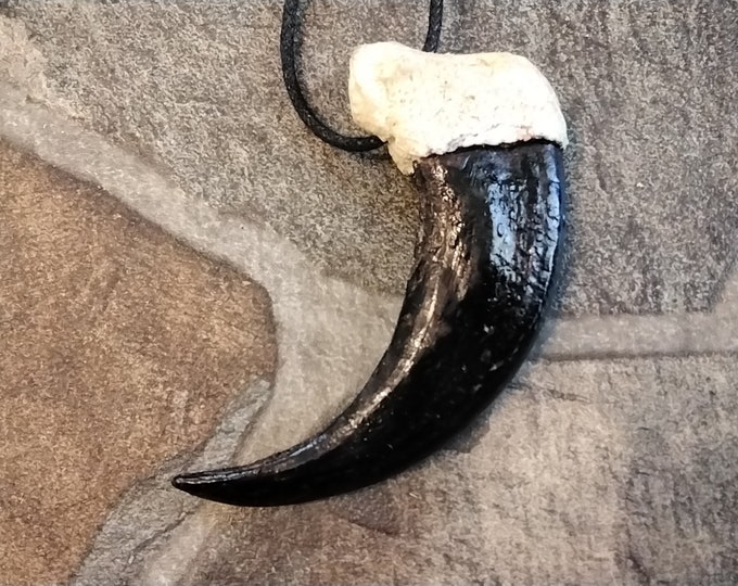 Grizzly Bear Claw Necklace Bone Resin Grizzly Claw Lot Dark One - Etsy