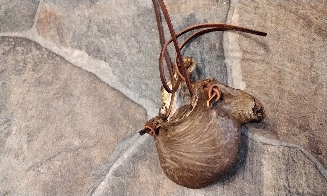 Bison Buffalo Balls Scrotum From USA Lot 3 Size 5 X 4 - Etsy