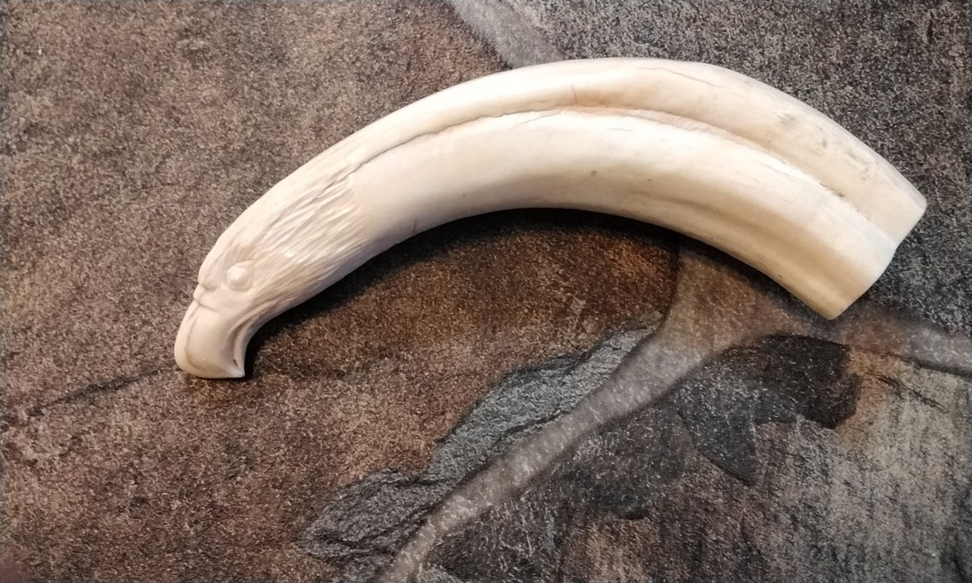 Hog Tooth Super Huge Carved Eagle Head Hand Carved in USA Lot 6 3/4 - Etsy