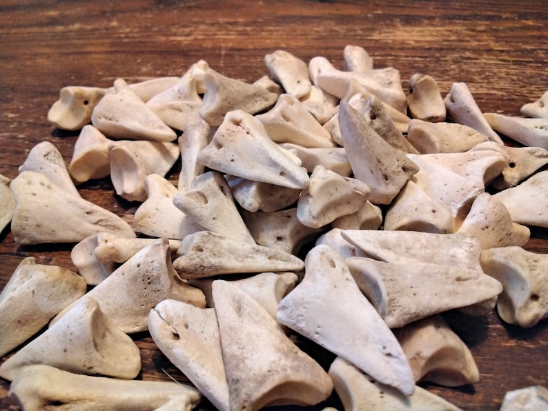 Deer Hoof Toe Bone for 6 Looks Like Arrowhead Natural Organic - Etsy