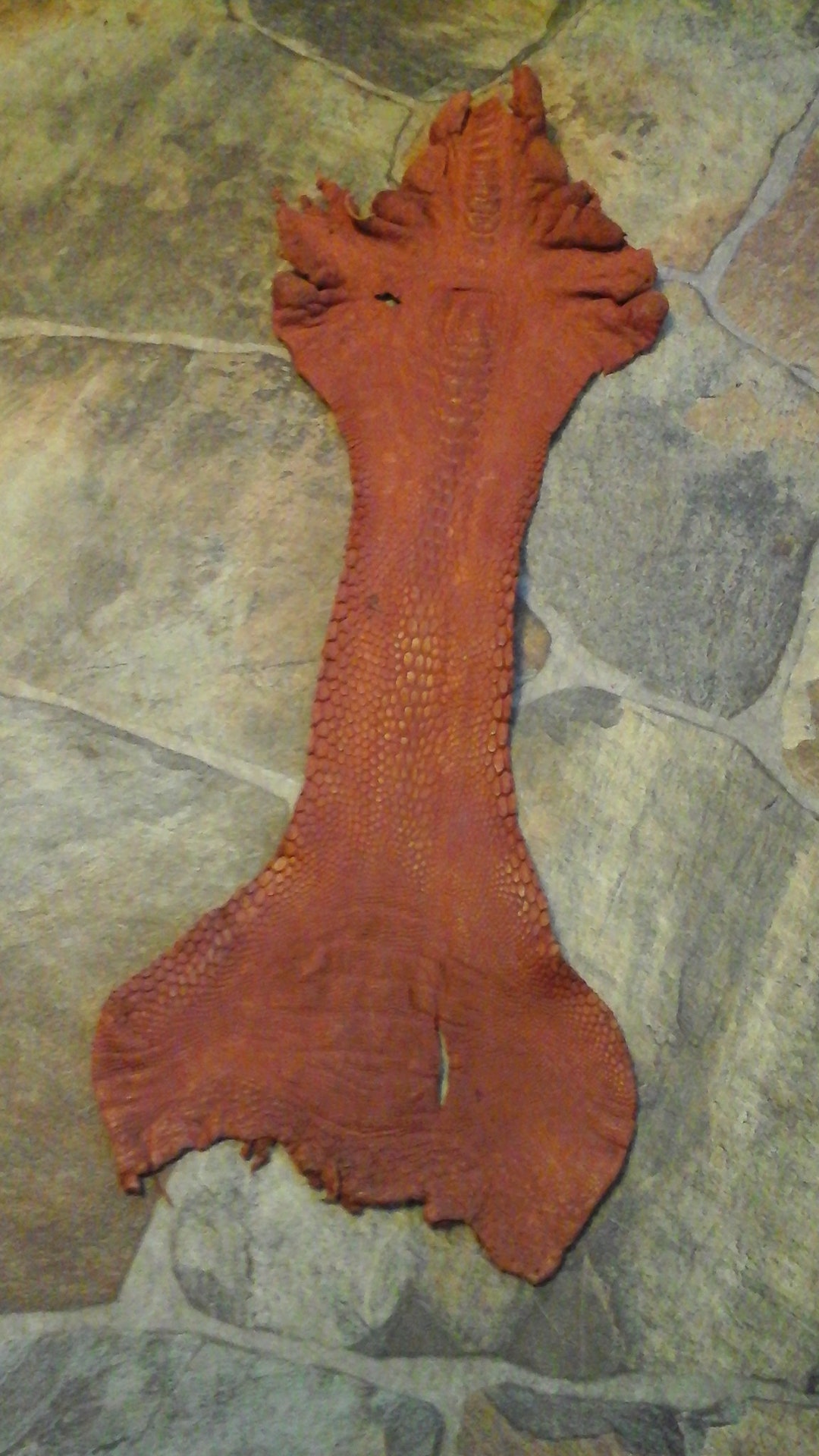 Emu Leg Skin Soft Tanned Lot Jumbo Brown From USA - Etsy.de