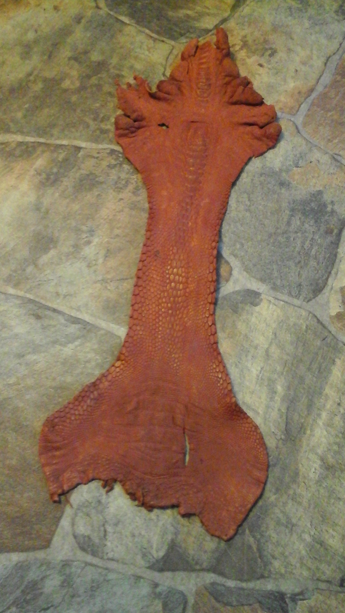 Emu Leg Skin Soft Tanned Lot Jumbo Brown From USA | Etsy