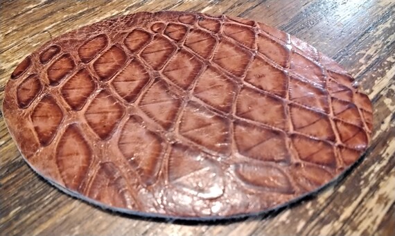 Anteater Skin Piece I Got Back in the 1980's From a Boot - Etsy