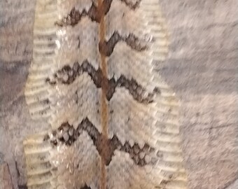 Timber Rattlesnake Shed - Etsy