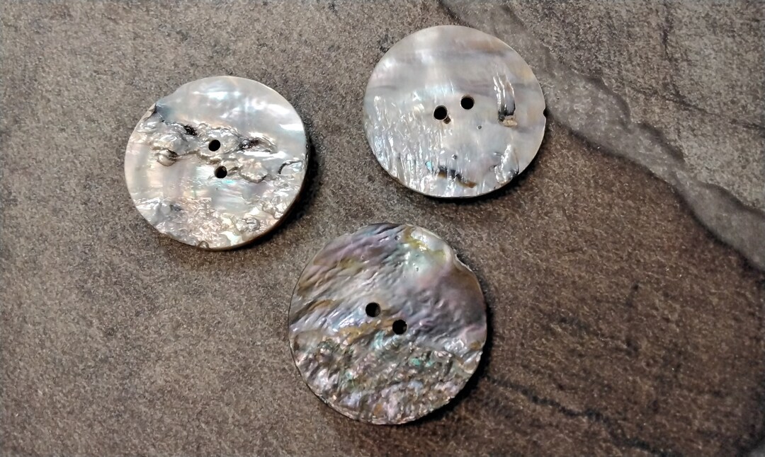 Abalone Shell Disc for 1 1 1/2 With 2 Holes Drilled - Etsy