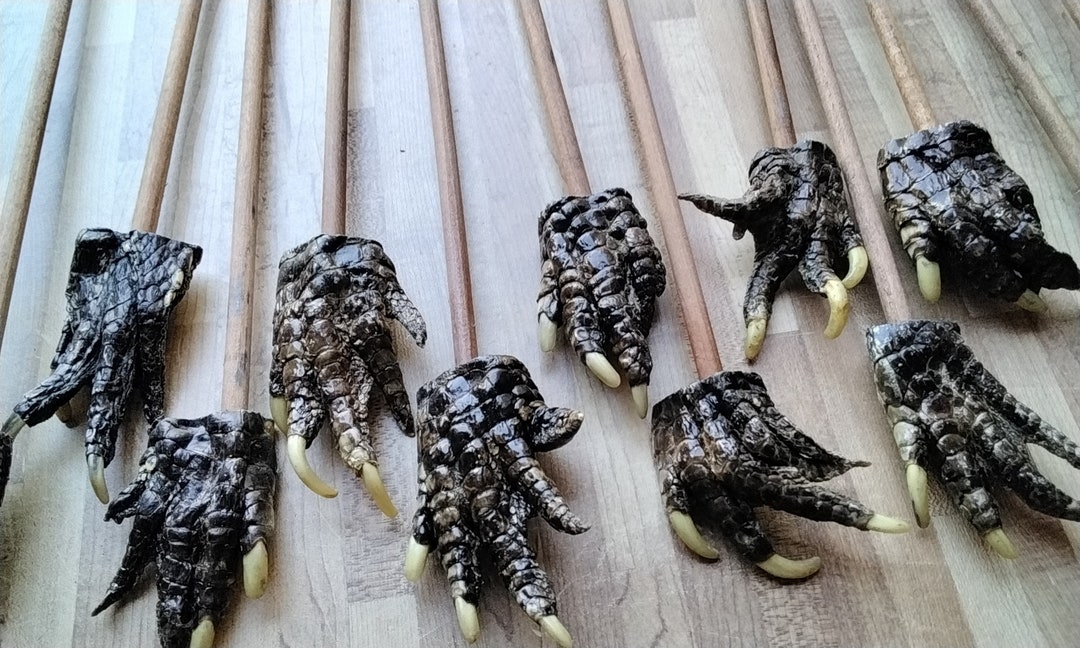 Real Alligator Foot Backscratcher for 1 From Fla. USA - Etsy