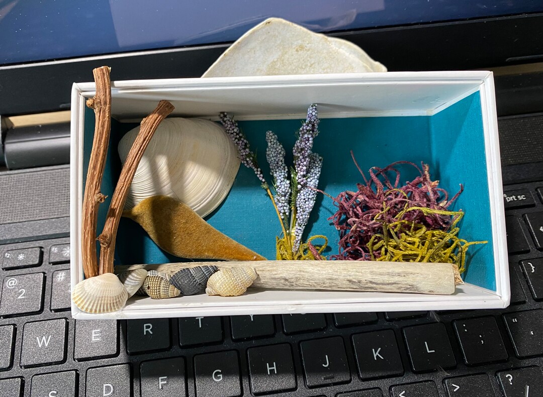 Upcycled Beach Scene Shadow Box - Etsy