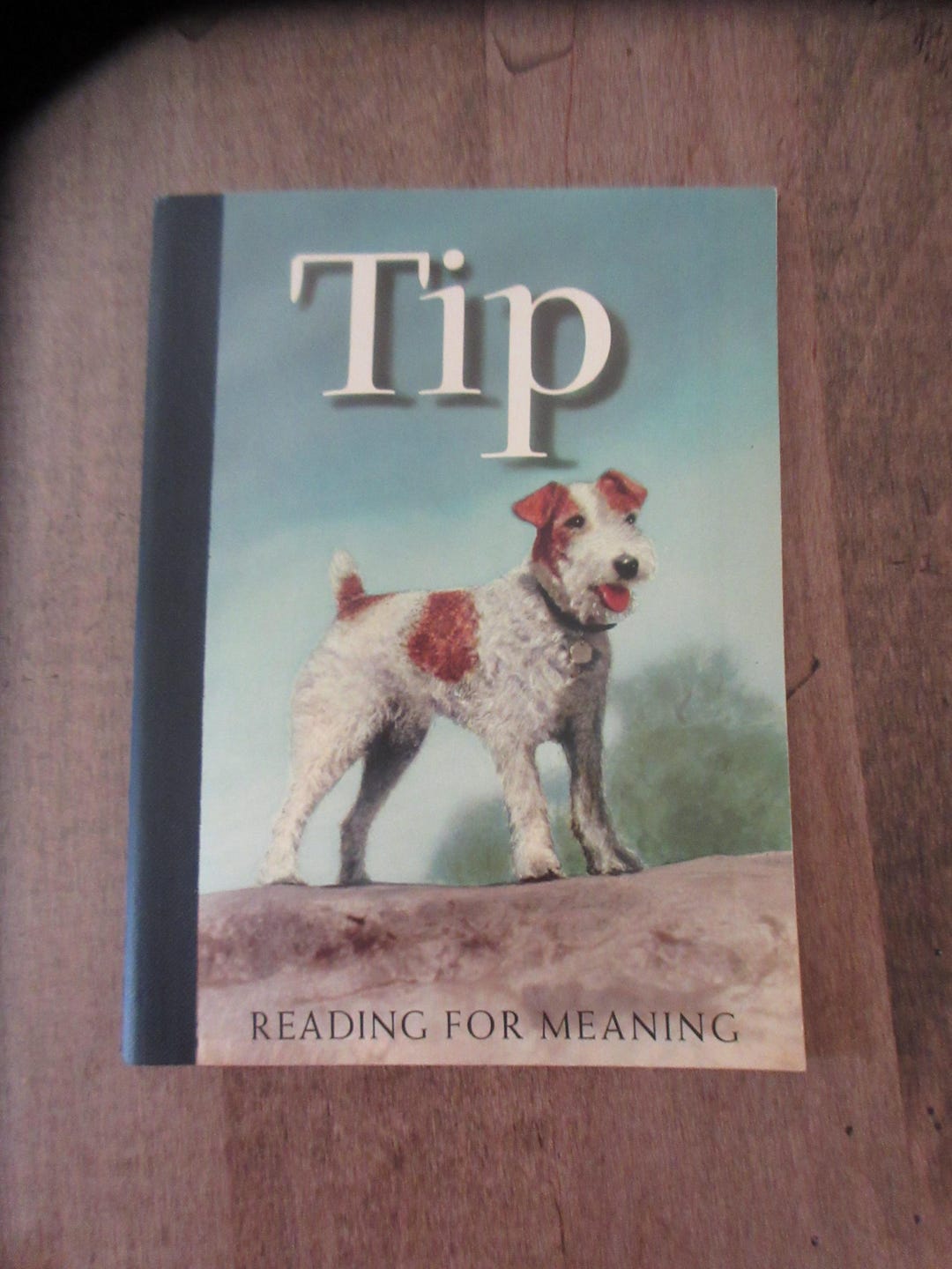 1949 Tip School Reader Paper Primer Vintage School Book Reading for ...