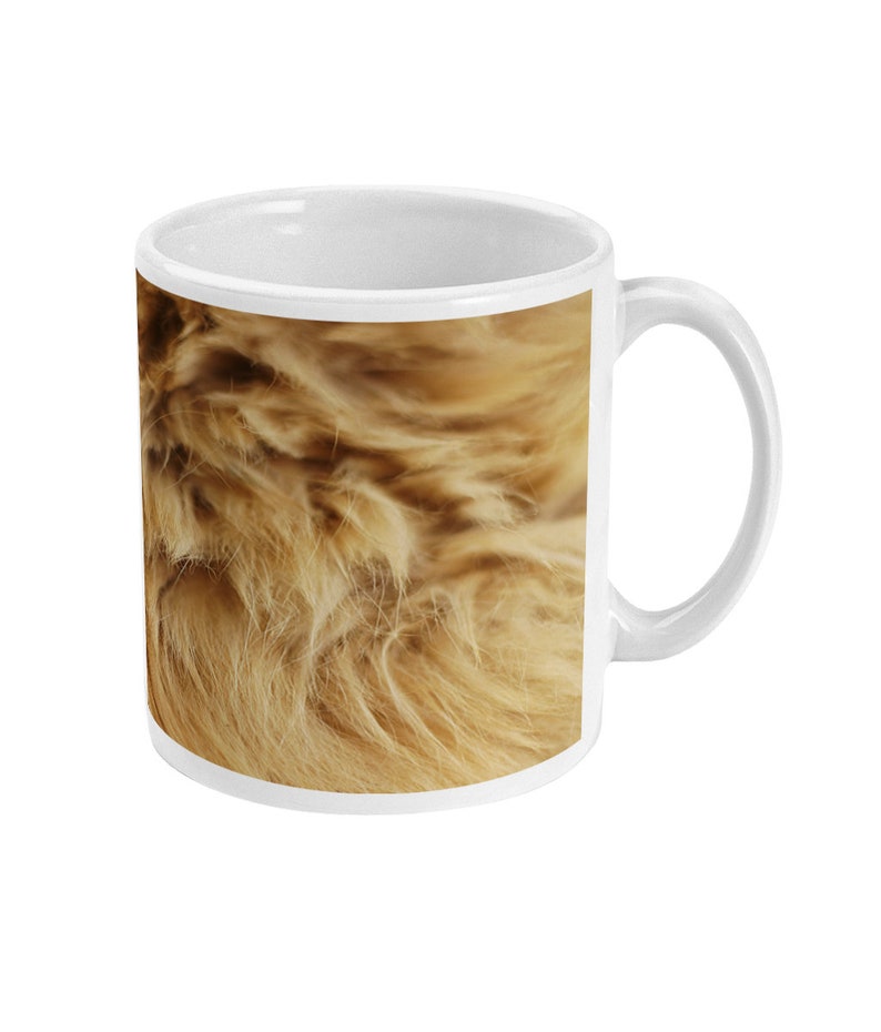 I Like to Drink From the Furry Cup Lion Mug - Etsy