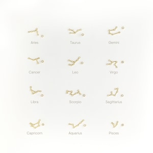Custom Zodiac Stud Earrings by Caitlyn Minimalist • Star Constellation ...
