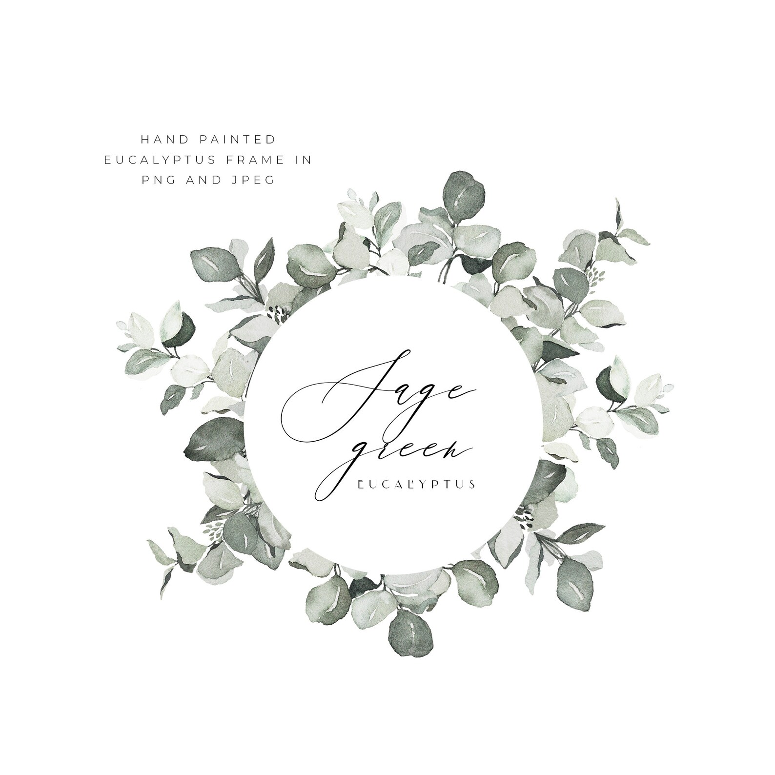 Watercolor Eucalyptus Leaves Floral Frame Green Leaves - Etsy
