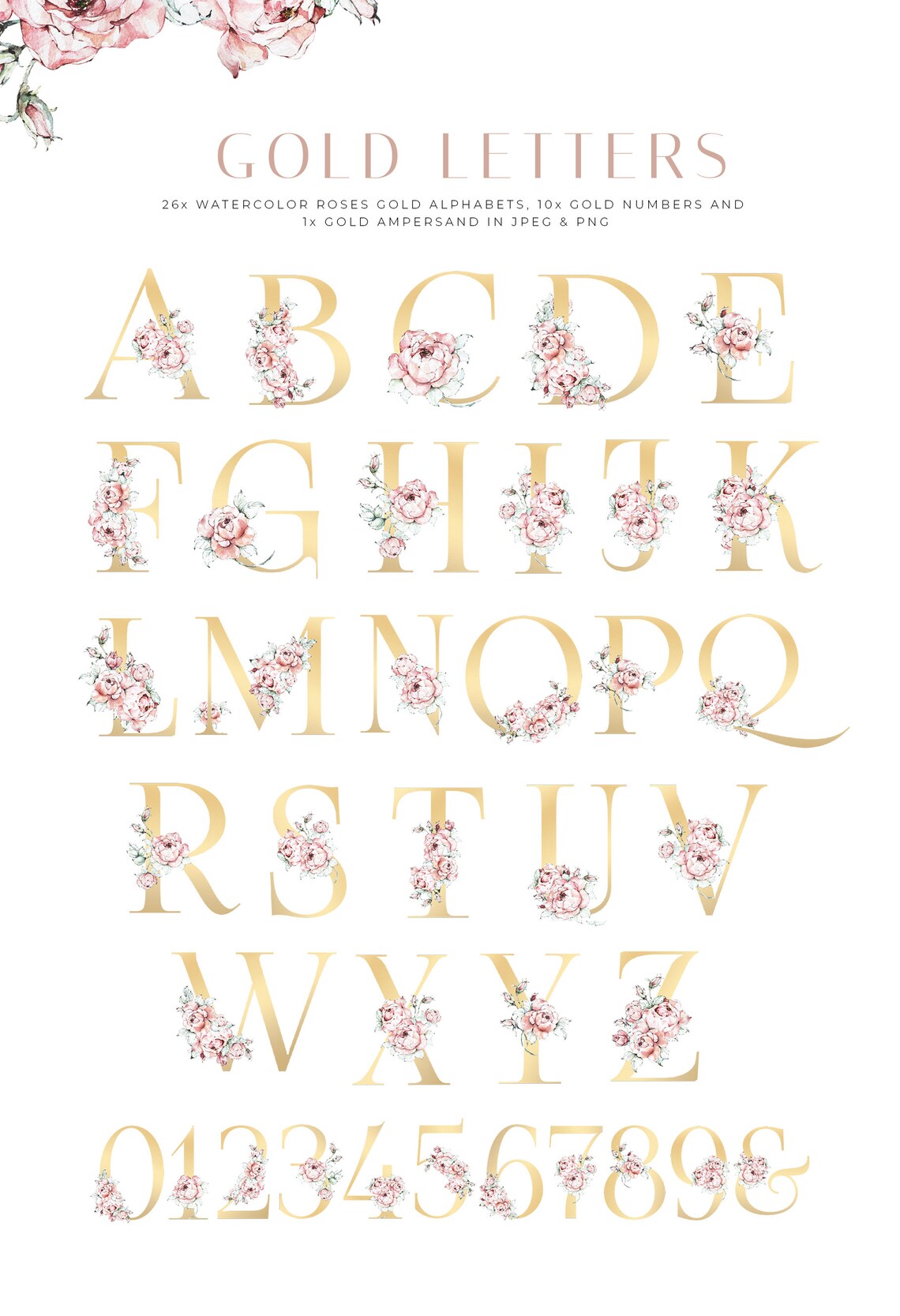 Floral Alphabet Watercolor Gold Alphabet Clipart PNG Flower | Etsy