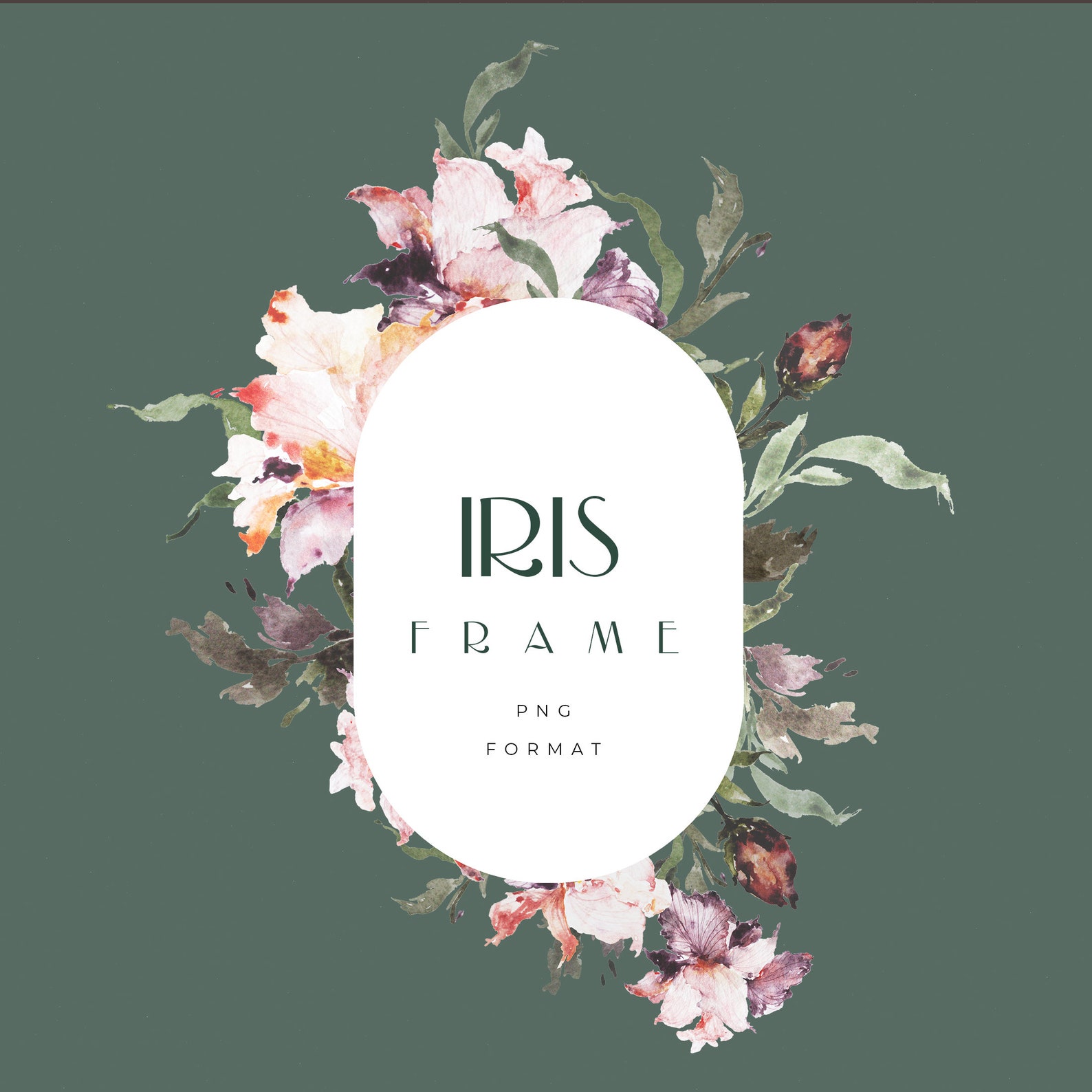 Floral Frame Clipart Flower Frame PNG Digital Frames - Etsy