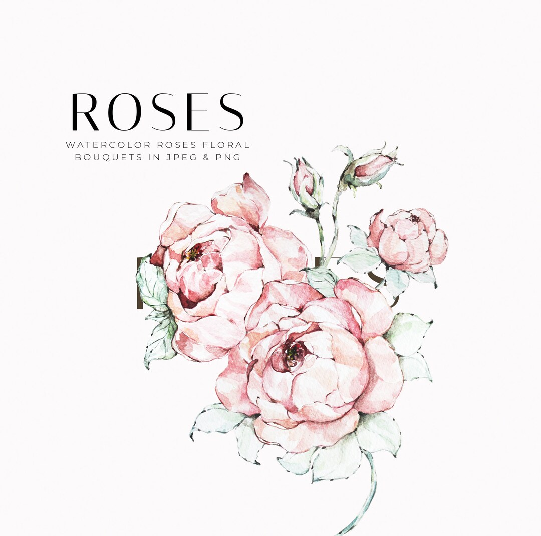 Rose Clipart Watercolor Floral Clipart Watercolor Roses PNG Pink ...