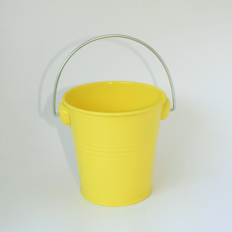 Small Decorative Buckets With Single Handle Pails for Party - Etsy