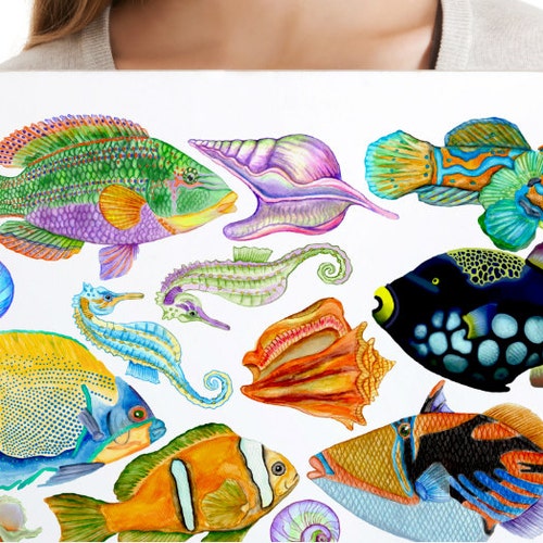 Tropical Fish Decals 10 Wall Decals Fish Home Décor - Etsy