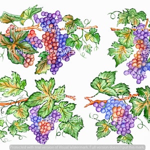 Wall Decals Grape 4-set, Juicy Grape Clusters Decals, Kitchen Decor ...