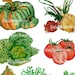Wall Decals Vegetables 7-set Back Splash Decals for Kitchen, Hand ...