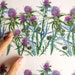 Wall Decals Thistle 2-set, Home Décor, Removable Interior Decals, Hand ...