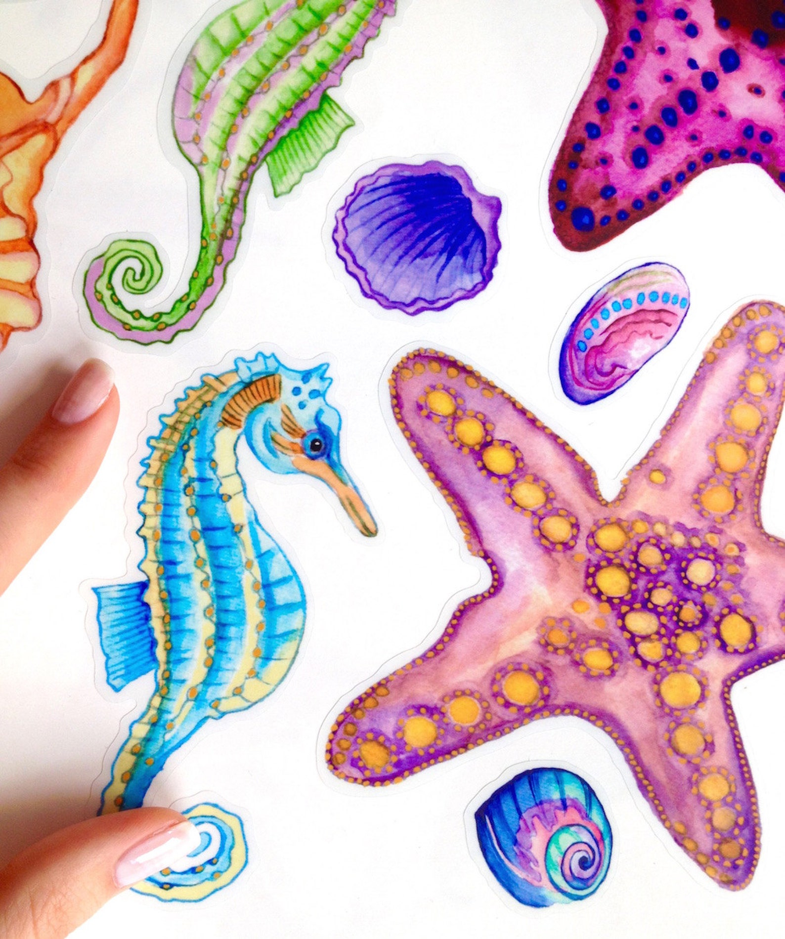 Wall Decals Sea Shells Starfish Decals Sea Life Decals for - Etsy
