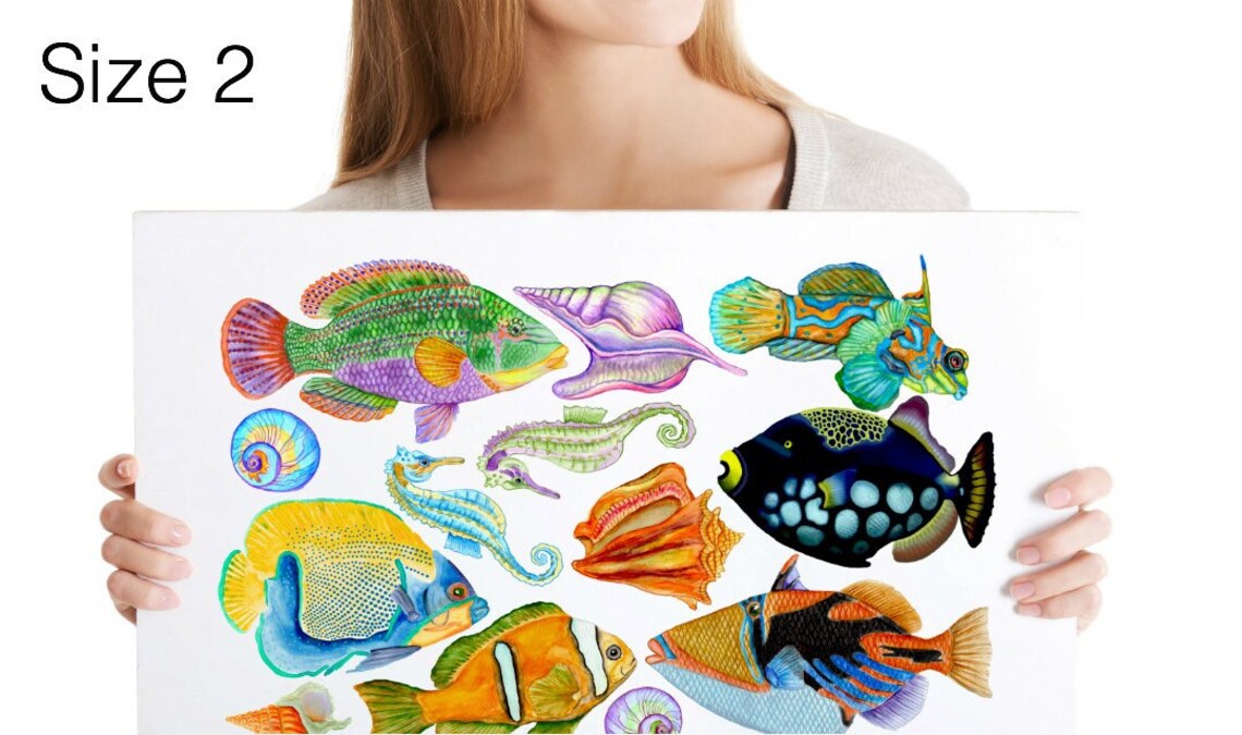 Tropical Fish Wall Decals BIG Set, Home Décor, Bathroom Decals, Fish ...