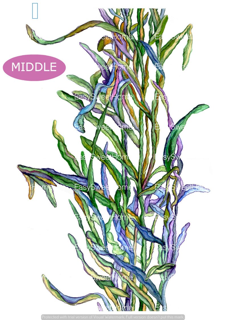 Algae Wall Decal Green Long Extension Decal Marine Decals | Etsy