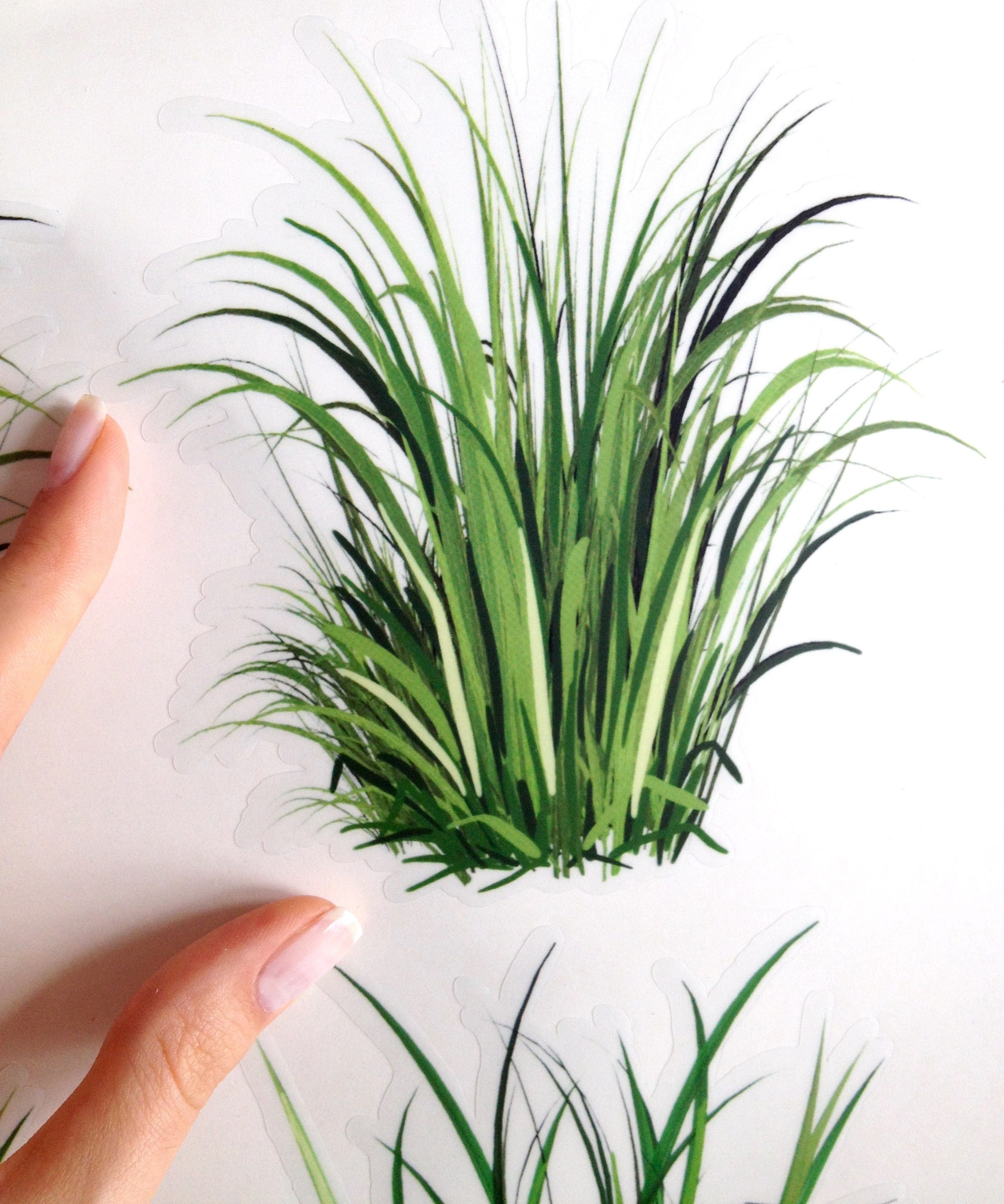 Basic Grass Decals Sectioned Grass Decals Realistic Grass - Etsy UK