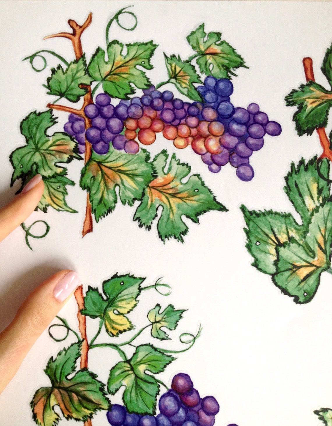 Wall Decals Grape 4-set, Juicy Grape Clusters Decals, Kitchen Decor ...