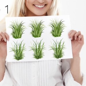 Basic Grass Decals, Sectioned Grass Decals, Realistic Grass Wall Art ...