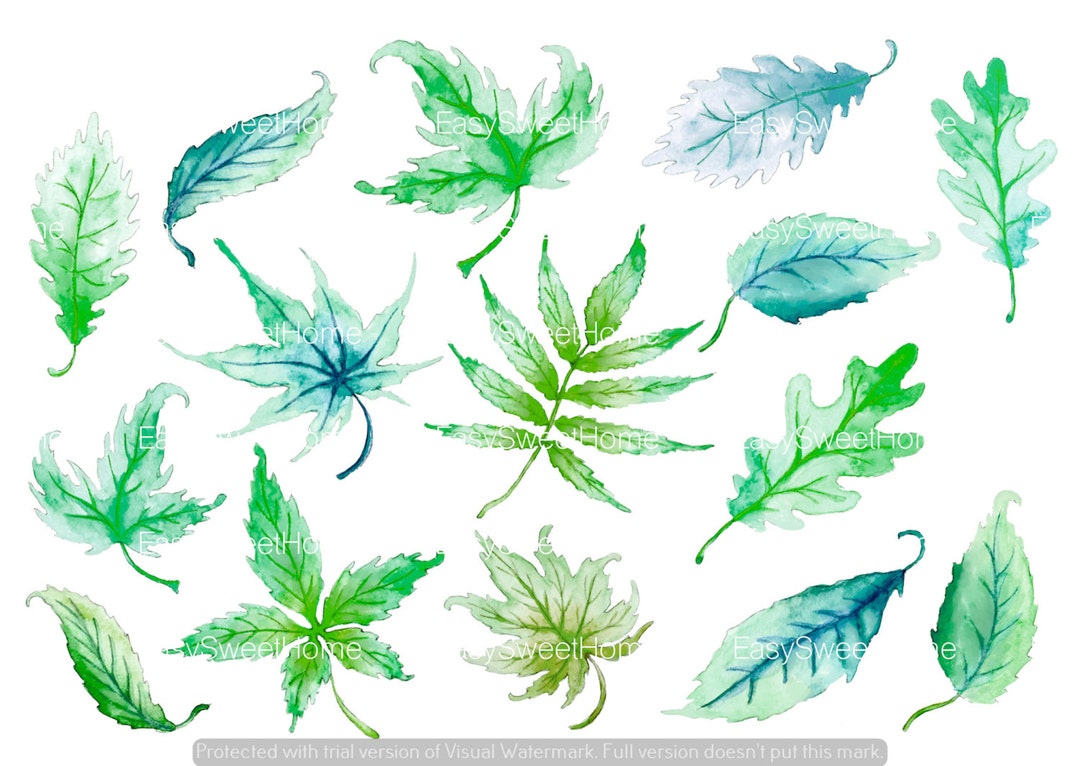 Leaf Decals Green 14-set, Removable Leaf Wall Decals, Furniture Decals ...