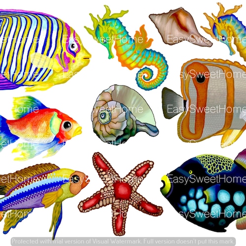 Tropical Fish Decals 10 Wall Decals Fish Home Décor - Etsy