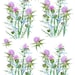 Wall Decals Thistle 10-set, Home Décor, Removable Interior Decals, Hand ...