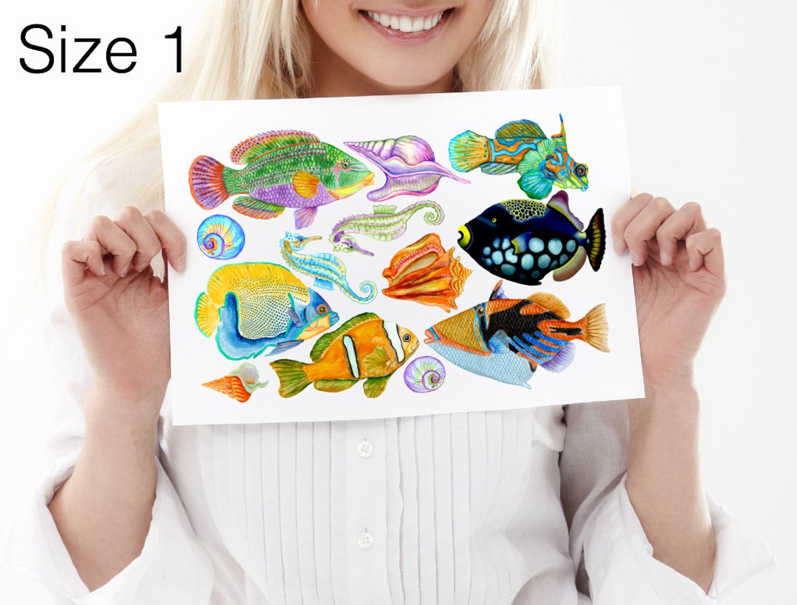 Tropical Fish Wall Decals BIG Set Home Décor Bathroom - Etsy