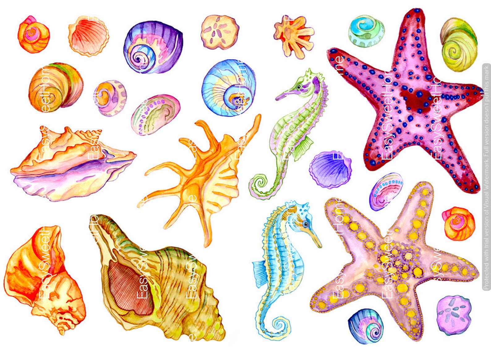 Wall Decals Sea Shells Starfish Decals Sea Life Decals for - Etsy