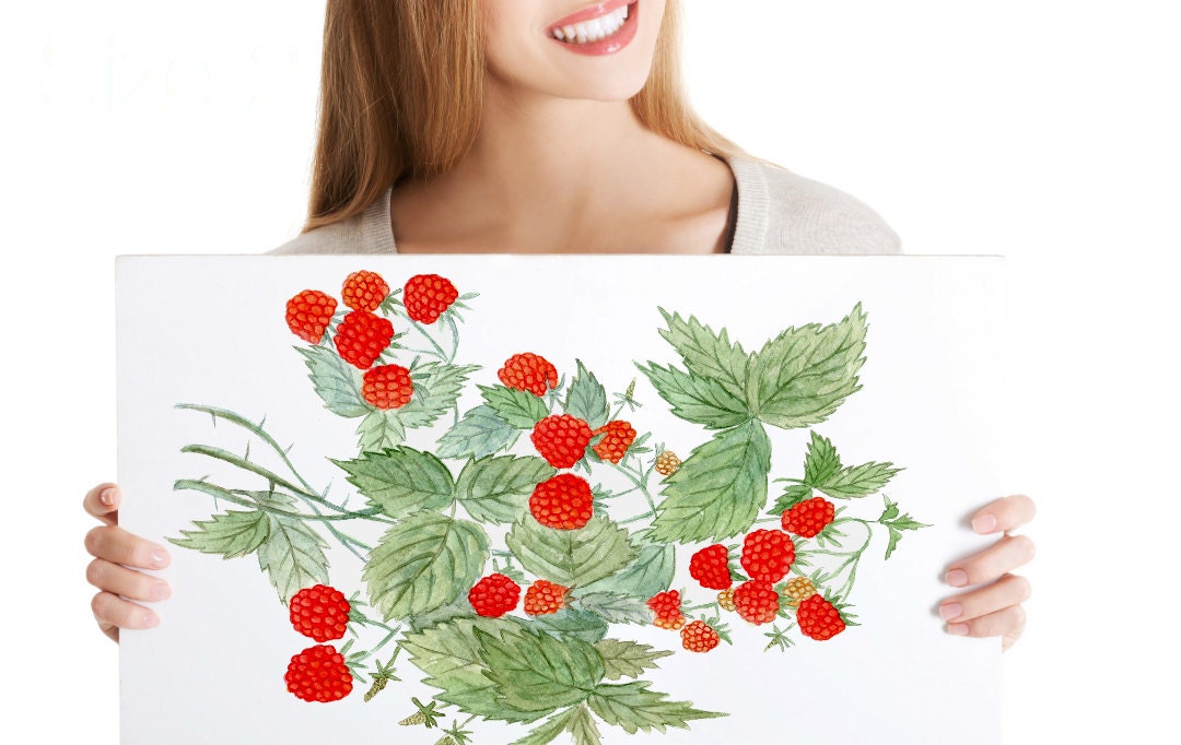 Wall Decal Raspberry Bush Home Décor Furniture Decals - Etsy