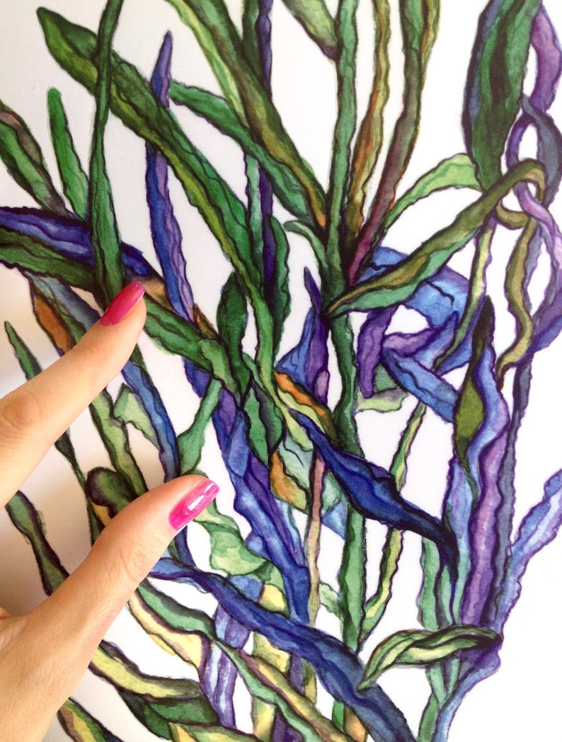 Algae Wall Decal Green Long Extension Decal Marine Decals - Etsy