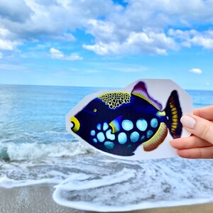 Tropical Fish Decals, 10 Wall Decals Fish, Home Décor, Bathroom Décor ...