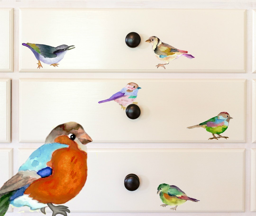 Colorful Birds Decals, 12-set Bird Wall Decals, Furniture Decals ...