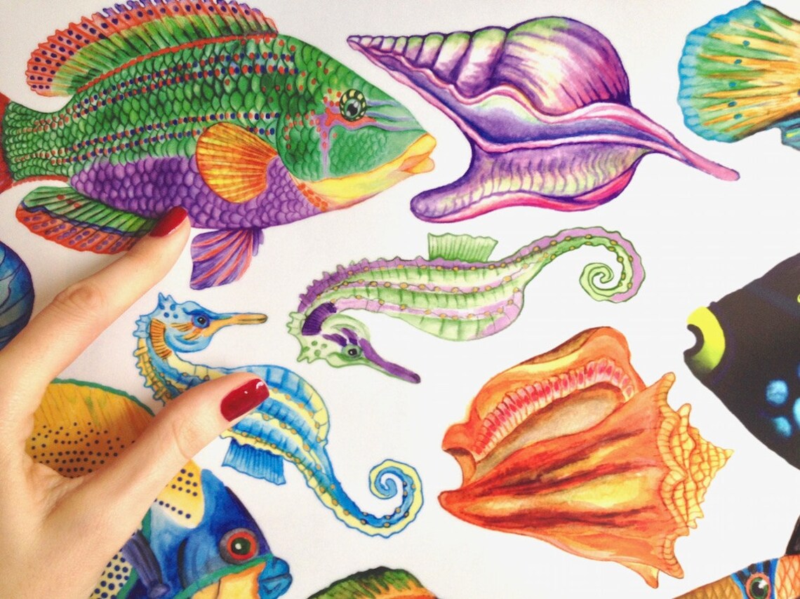 Tropical Fish Wall Decals BIG Set Home Décor Bathroom - Etsy