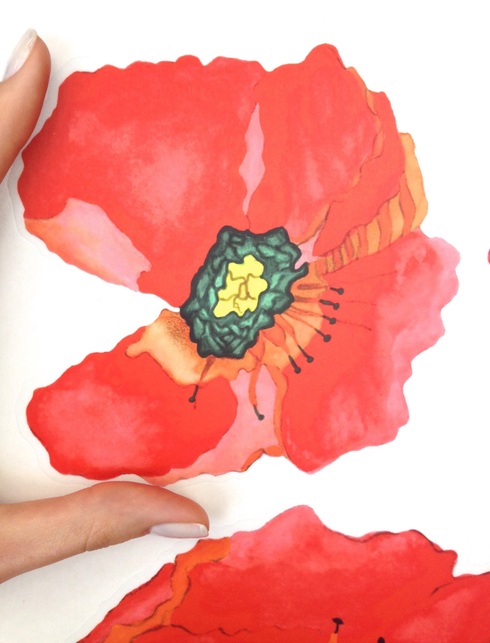 Red Poppy Decals, Set of 6 Hand-painted Decals for Walls, Tiles and ...