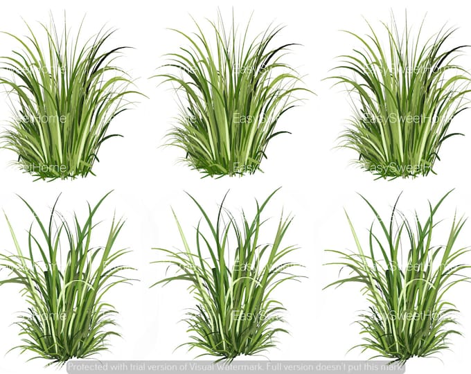 Grass Wall Decal - Etsy