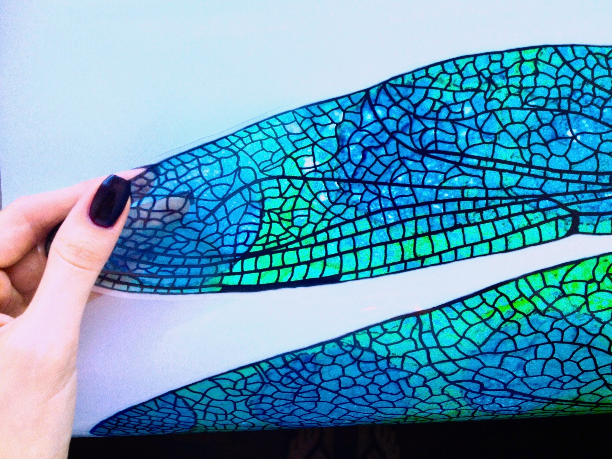 Window Clings Dragonfly Wings 2-set, Color Aqua, Reusable Window Decor ...