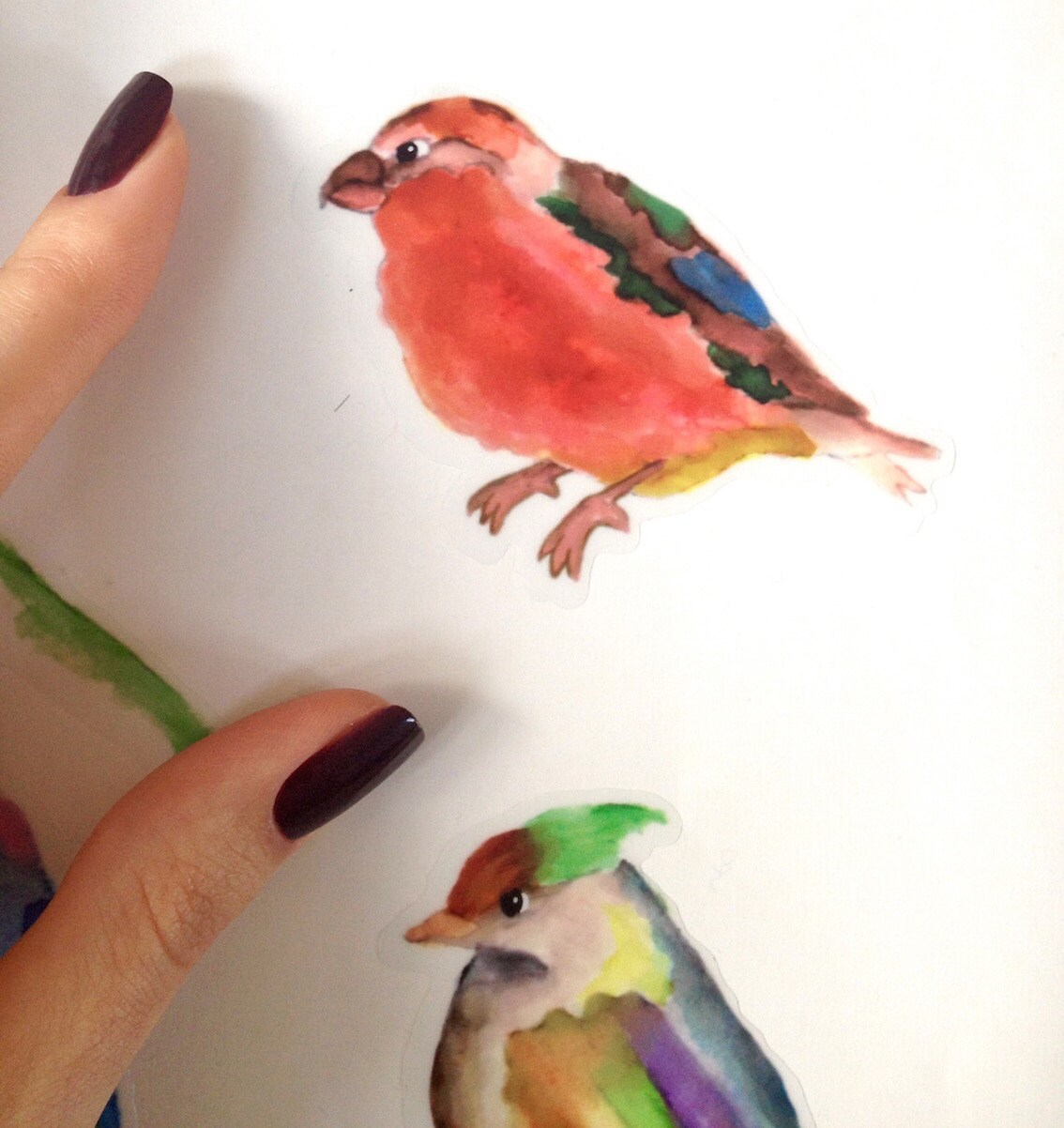 Colorful Birds Decals 12-set Bird Wall Decals Furniture - Etsy Canada