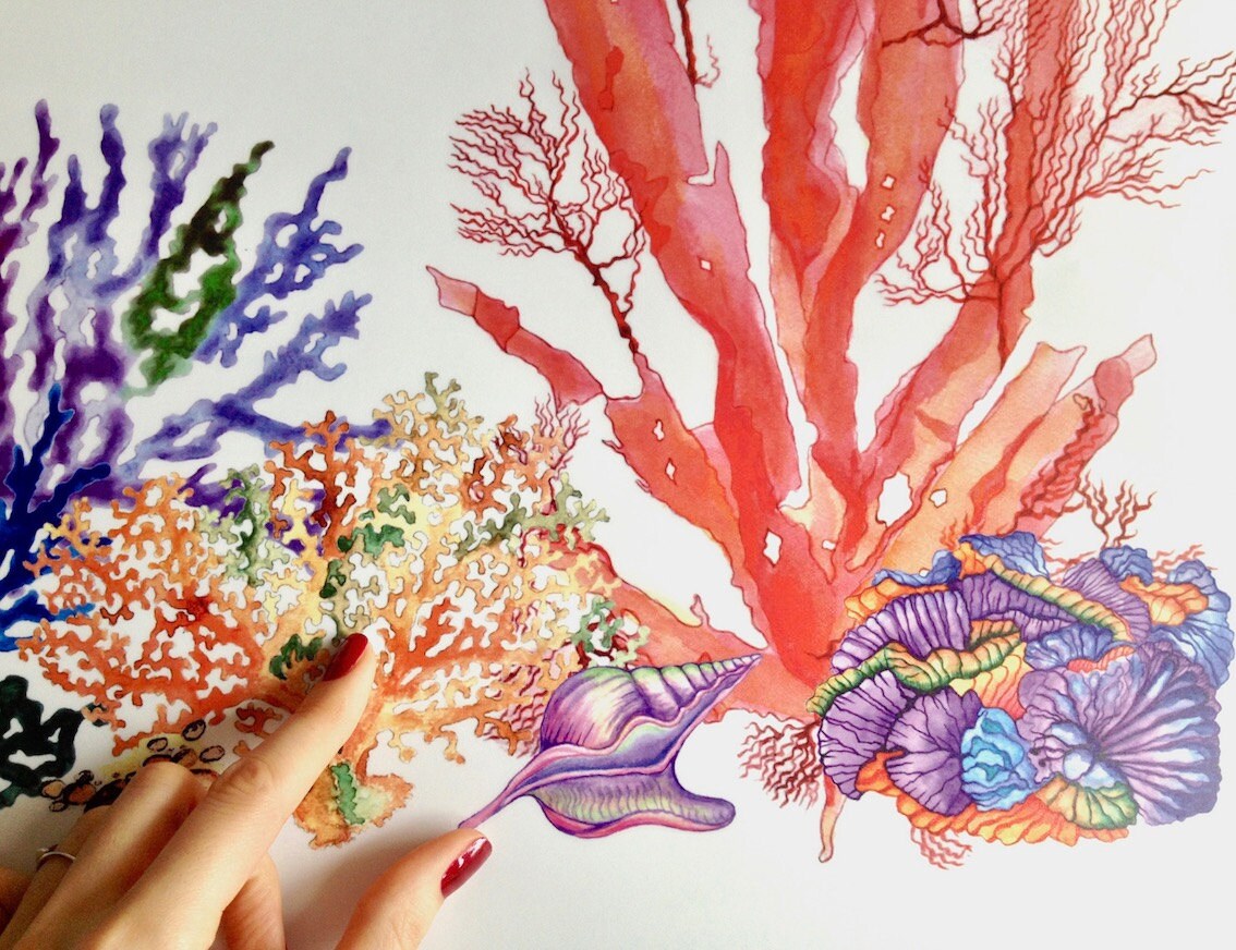 Coral Reef Decal Red/purple Bathroom Décor Decals for - Etsy