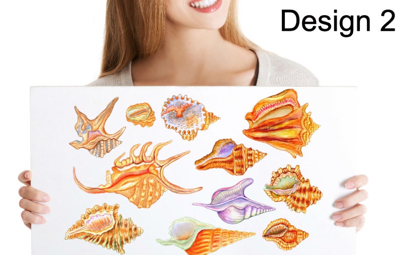Wall Decals Sea Shells Starfish Decals Sea Life Decals for - Etsy
