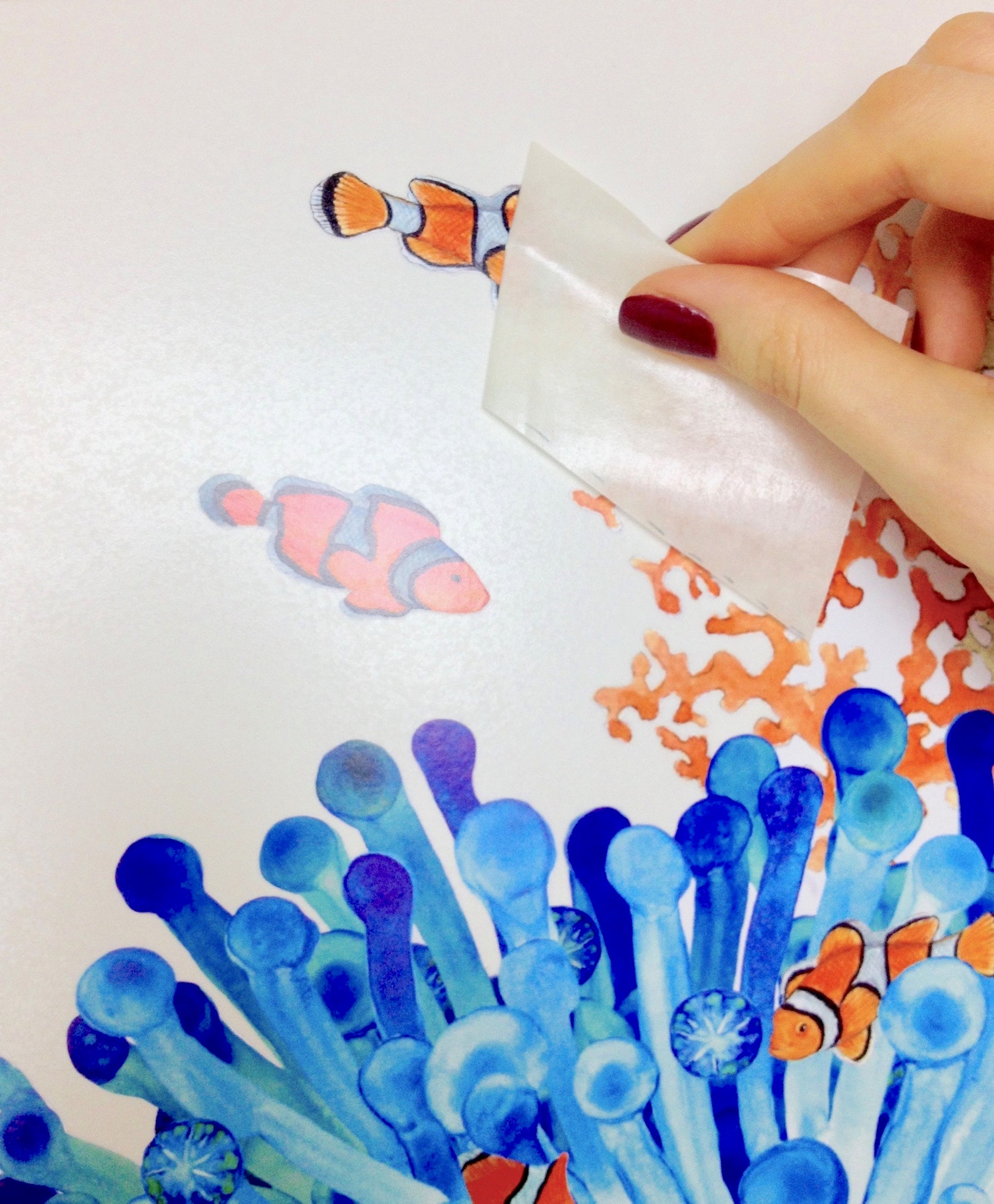 Coral Reef Wall Decal Anemone Wall Decal Bathroom Decals | Etsy