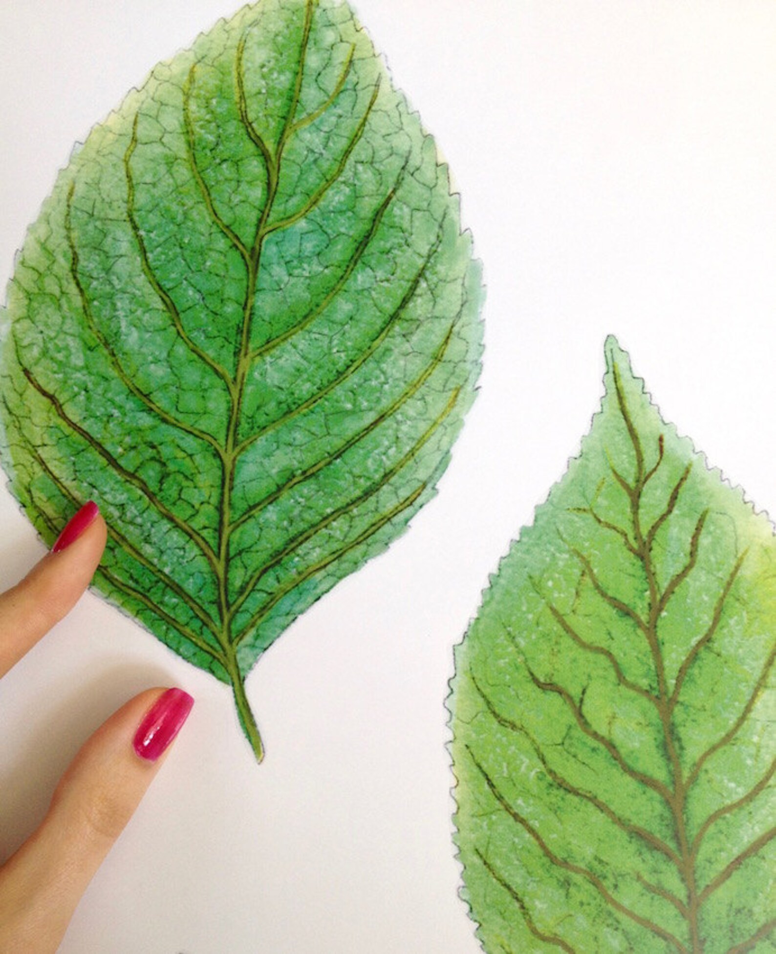 Green Leaf Wall Decals 5-Set Hand-Painted Leaf Decals for | Etsy