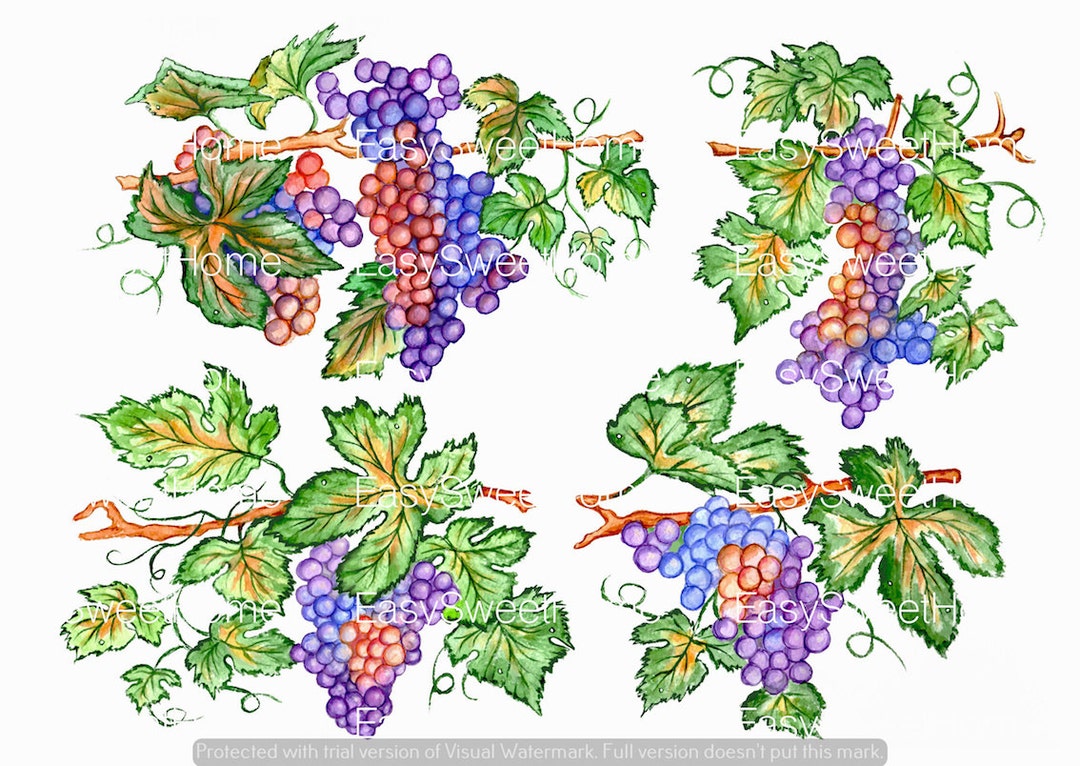 Wall Decals Grape 4-set, Juicy Grape Clusters Decals, Kitchen Decor ...